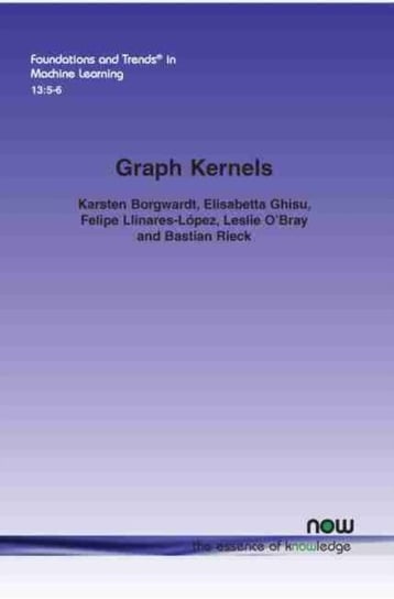 Graph Kernels: State-of-the-Art and Future Challenges - Opracowanie zbiorowe | Książka w Empik