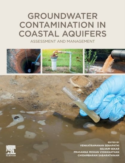 Groundwater Contamination in Coastal Aquifers. Assessment and ...