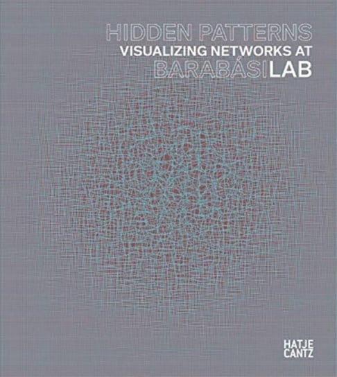 Hidden Patterns: Visualizing Networks at BarabasiLab - Opracowanie zbiorowe | Książka w Empik
