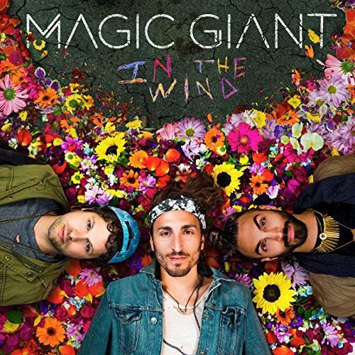 In The Wind - Magic Giant | Muzyka Sklep EMPIK.COM