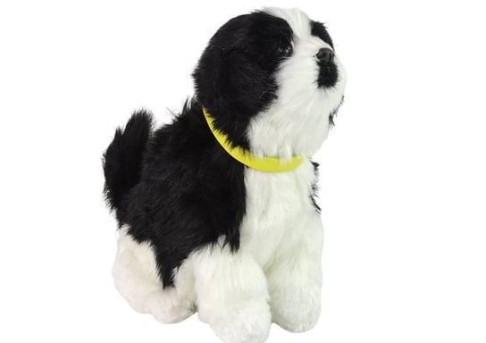 Interaktywny Piesek Border Collie Pluszowy + Żółta Obroża - Lean Toys ...
