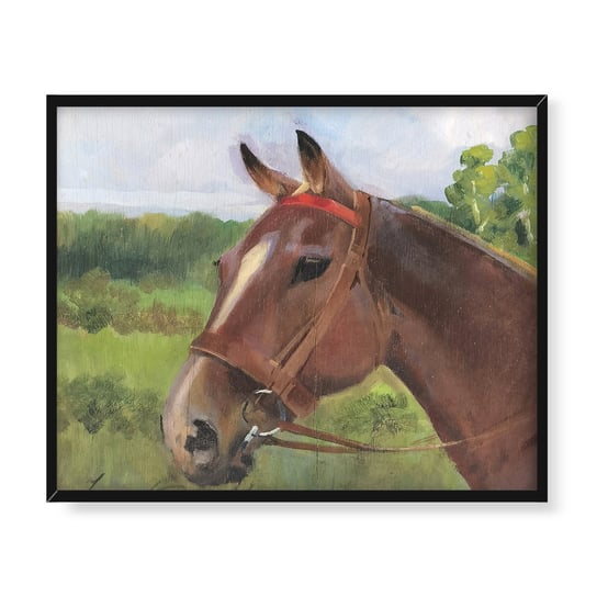 Jerzy Kossak Głowa konia 2 50×40 - ANTYKWARIAT "CZUŁA JEST NOC" JAKUB MLECZKO | Sklep EMPIK.COM