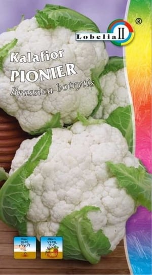 Kalafior Pionier 1g / L / - Inna marka | Sklep EMPIK.COM
