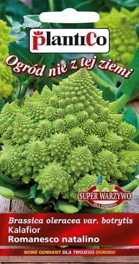 Kalafior Romanesco natalino 0.2 g PLANTICO - PlantiCo | Sklep EMPIK.COM