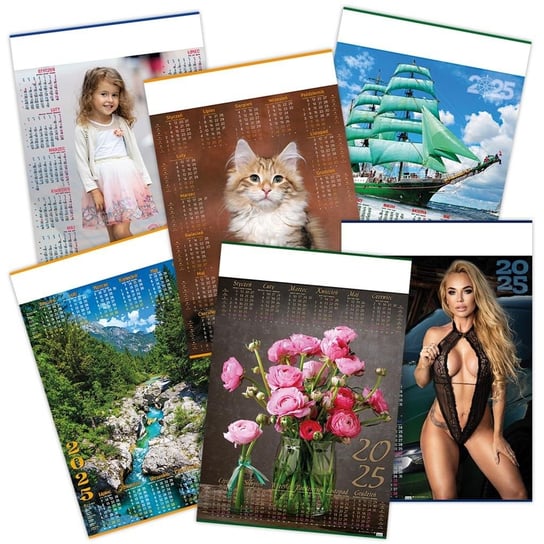 Kalendarz 2025 plakatowy MIX (20szt) - Inna marka | Sklep EMPIK.COM