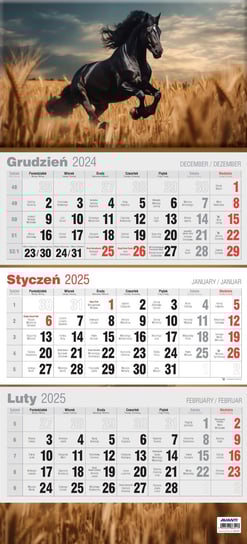 Kalendarz ścienny, Ktt Kalendarz Trójdzielny Płaski - Avanti | Sklep EMPIK.COM