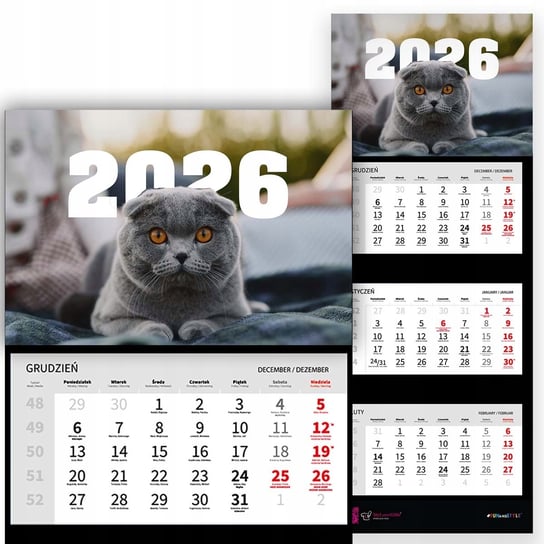 Kalendarz Trójdzielny Na 2026 Rok Biurowy Wiszący Naścienny Kot Mix ...