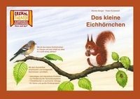 Kamishibai: Das kleine Eichhörnchen - Burger Monika | Książka w Empik
