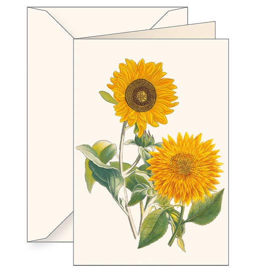 Karnet B6 Koperta 6182 Słoneczniki - Tassotti | Sklep EMPIK.COM