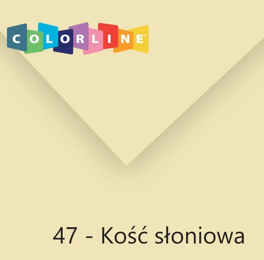 Karton Ozd 500x650mm Kosc Slo 150g Cans Fol Op10 - Canson | Sklep EMPIK.COM