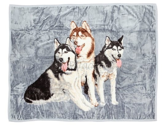 Koc Elway 160x210 psy Husky'e - Elway | Sklep EMPIK.COM