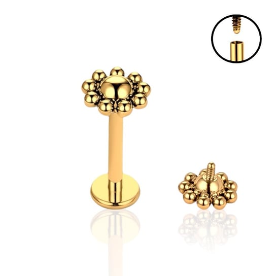 Kolczyk PIERCING labret złoty z kwiatkiem TYTAN Tragus Helix LOBE 1,2/8 ...
