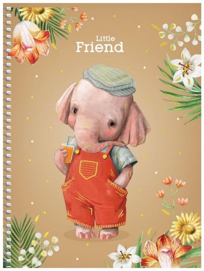 Kołobrulion Student B6 80 Kratka 80G Little Friend Kremowy Papier - brak danych | Sklep EMPIK.COM