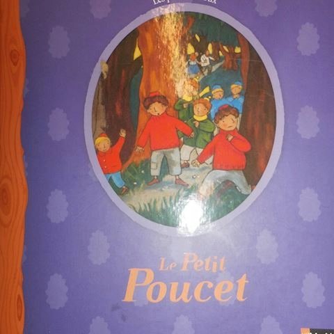 Le Petit Poucet - Charles Perrault | Książka w Empik