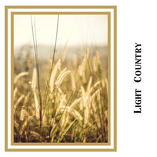 Light Country - Various Artists | Muzyka, mp3 Sklep EMPIK.COM