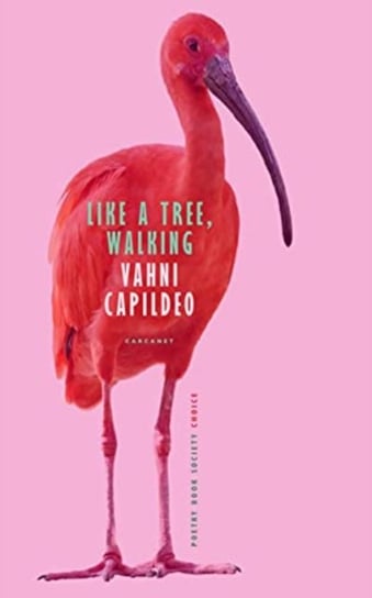 Like a Tree, Walking - Vahni Capildeo | Książka w Empik
