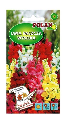 Lwia paszcza wysoka mieszana 1 g POLAN - Inna marka | Sklep EMPIK.COM