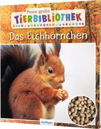 Meine große Tierbibliothek: Das Eichhörnchen - Esslinger in der Thienemann-Esslinger Verlag GmbH ...