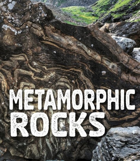 Metamorphic Rocks - Ava Sawyer | Książka w Empik