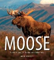 Moose - Raycroft Mark | Książka w Empik