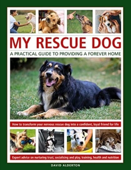 My Rescue Dog - Alderton David | Książka w Empik