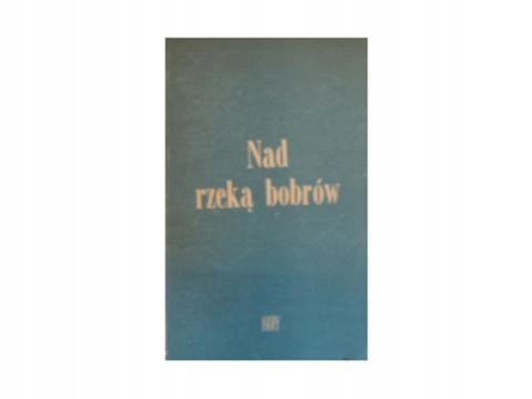 Nad rzeką bobrów - Collier Paul | Książka w Empik