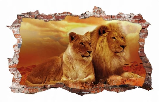 Naklejki na ścianę Lew Afryka Krajobraz fototapeta 3D Dziura 70x46 cm ...