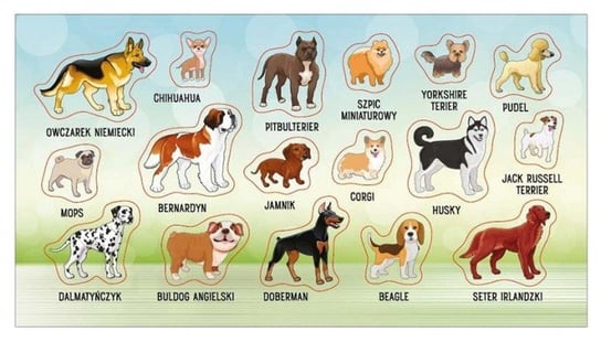 Naklejki Rasy psów - Ranok-Creative | Sklep EMPIK.COM