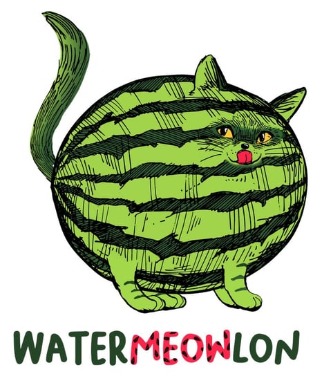 Naprasowanka Kot arbuz kotek meme - Zebra | Sklep EMPIK.COM