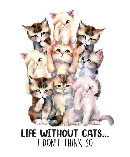 Naprasowanka Kot kotek meme śmieszny zabawny 2 - Zebra | Sklep EMPIK.COM