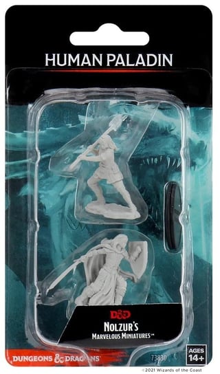 Nolzurs Marvelous Miniatures Wizkids - D&D Human Female Paladin ...