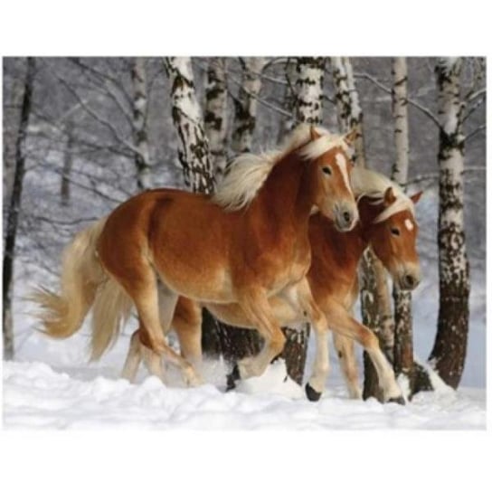 Norimpex, Diamentowa mozaika Konie 1006309 - Norimpex | Sklep EMPIK.COM