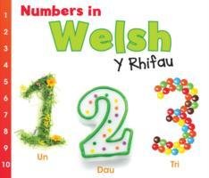 Numbers in Welsh - Nunn Daniel | Książka w Empik