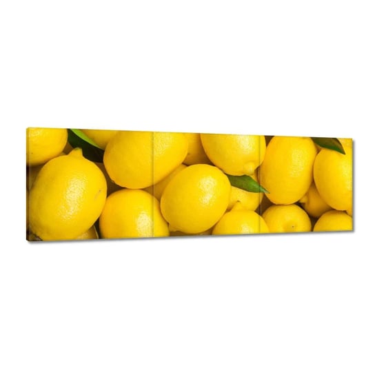 Obraz 120x40cm Dużo cytryn - ZeSmakiem | Sklep EMPIK.COM