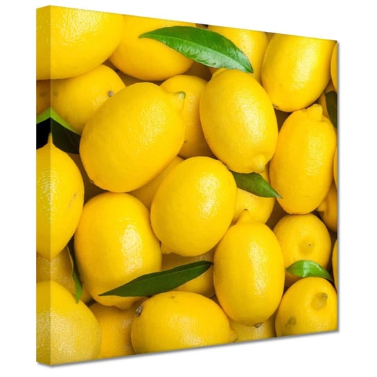 Obraz 20x20cm Dużo cytryn - ZeSmakiem | Sklep EMPIK.COM