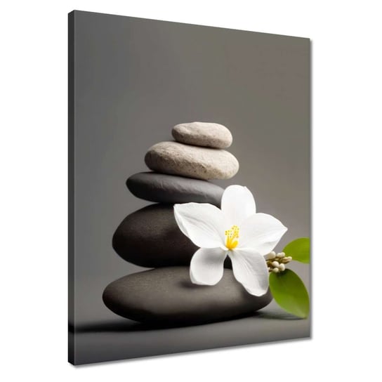 Obraz 40x50cm Biały kwiatek i kamienie SPA - ZeSmakiem | Sklep EMPIK.COM