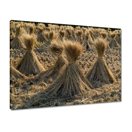 Obraz 70x50 Chochoły - ZeSmakiem | Sklep EMPIK.COM