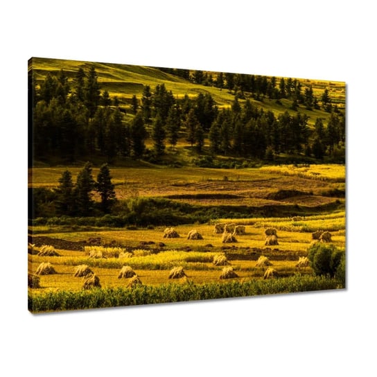 Obraz 70x50 Pejzaż Krajobraz Widoczek - ZeSmakiem | Sklep EMPIK.COM