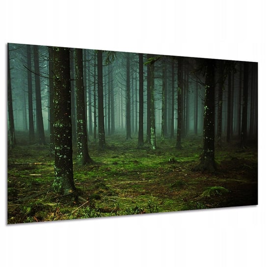 Obraz ciemny LAS 11 we mgle mgła tajemniczy 120x80 - AleObrazy | Sklep ...