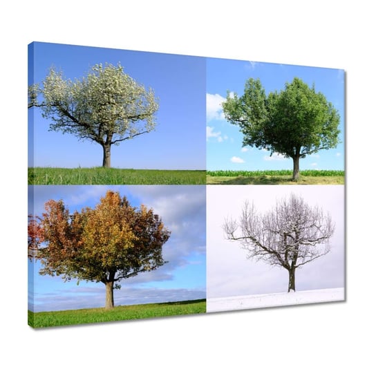 Obraz Cztery pory roku, 50x40cm - ZeSmakiem | Sklep EMPIK.COM