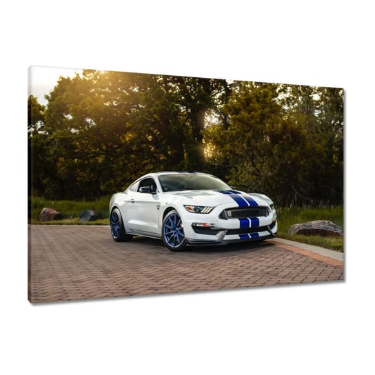Obraz Ford Mustang Samochód USA, 90x60cm - ZeSmakiem | Sklep EMPIK.COM