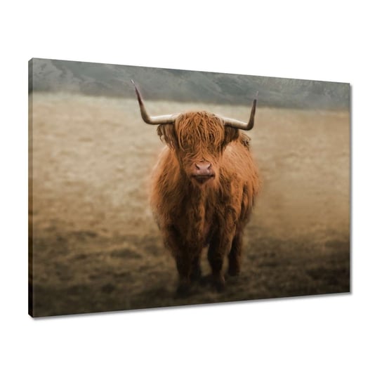 Obraz Jak Bydło rogate Rogi, 70x50cm - ZeSmakiem | Sklep EMPIK.COM