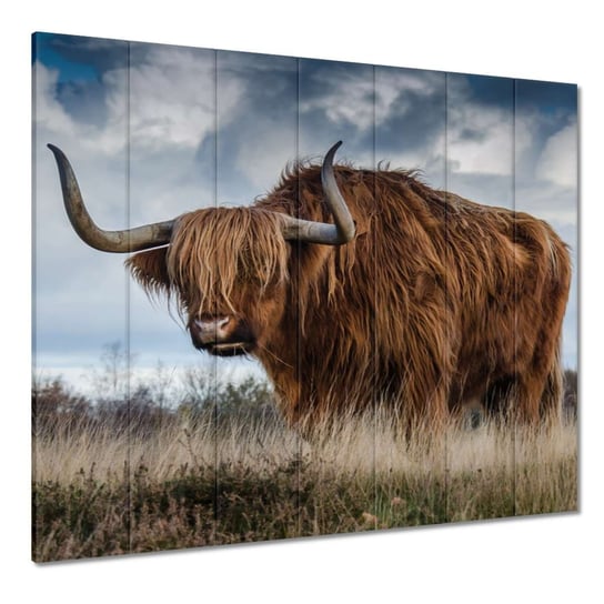 Obraz Krowa rasy wyżynnej, 210x195cm - ZeSmakiem | Sklep EMPIK.COM