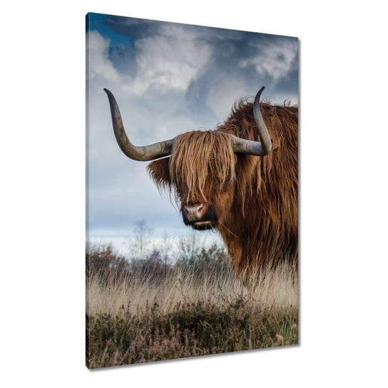 Obraz Krowa rasy wyżynnej, 70x100cm - ZeSmakiem | Sklep EMPIK.COM