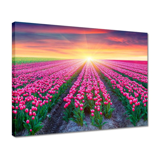 Obraz Morze tulipanów Kwiaty, 40x30cm - ZeSmakiem | Sklep EMPIK.COM