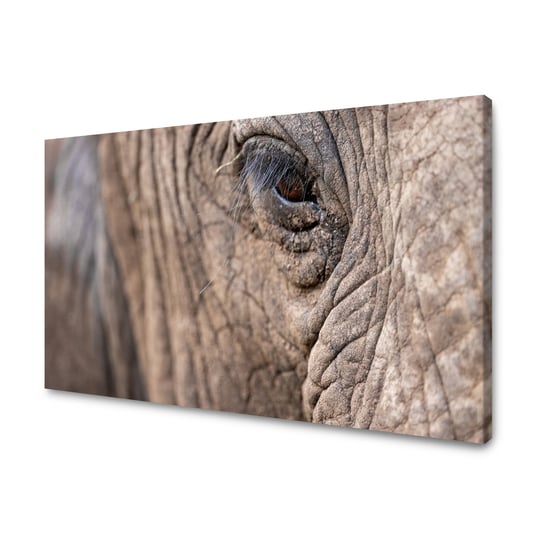 Obraz Na Płótnie Canvas Zwierzęta Oko Słonia 100X80 Cm - GP TONER ...