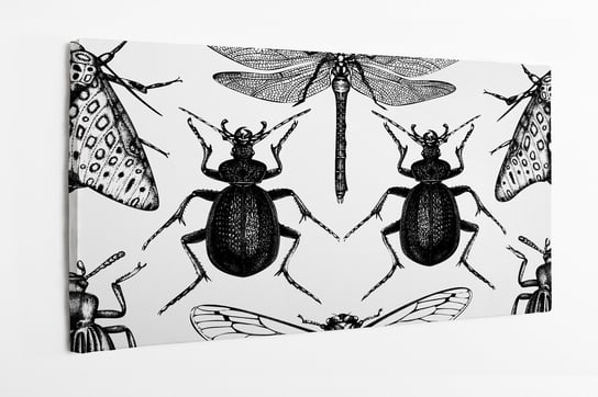 Obraz na płótnie HOMEPRINT, czarno - białe owady typ ważka, chrząszcz ...