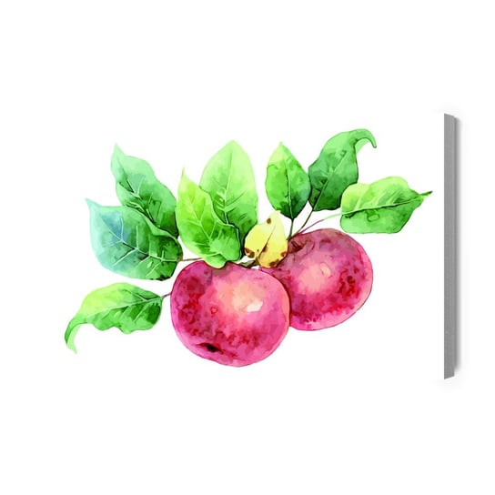 Obraz Na Płótnie Jabłka Malowane Akwarelą 70x50 - Inna marka | Sklep ...