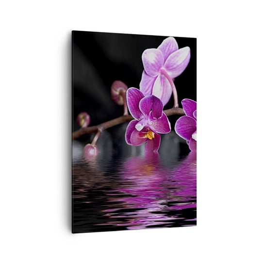 Obraz na płótnie - Liliowe odbicie piękna - 70x100cm - Kwiaty Orchidea Natura - Nowoczesny foto ...
