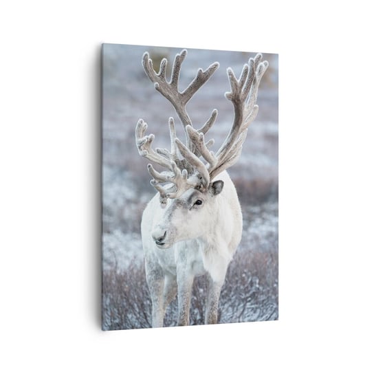 Obraz na płótnie - Portret w słońcu - 70x100cm - Renifer Zwierzęta ...